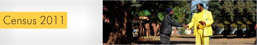 The Importance of Census | Statistics South Africa
